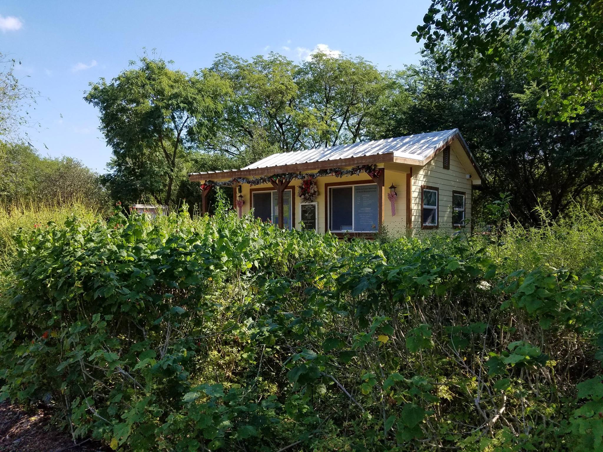 Roots Break Walls Part II: Rooting Abundance - Trucha RGV