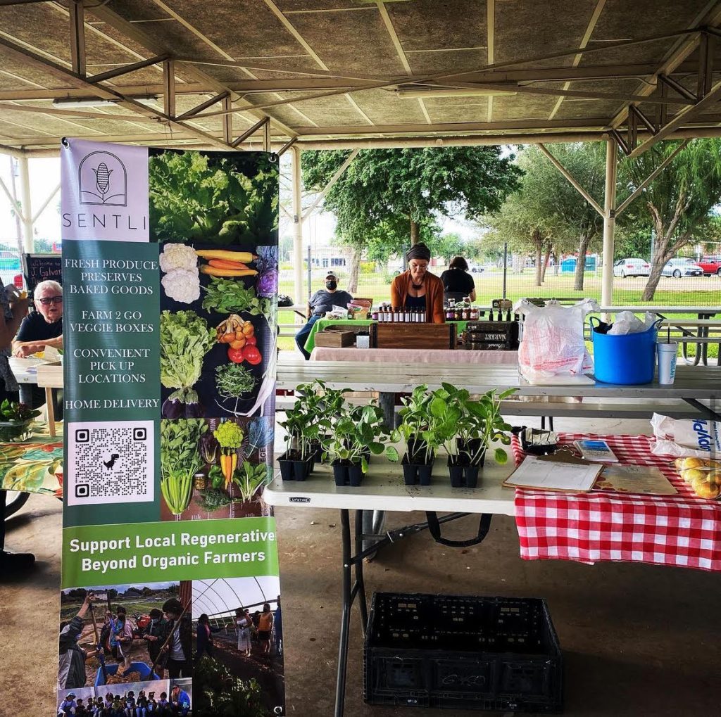 What to Grow in the RGV’s Food Deserts? Community, Collaboration and Support - Trucha RGV