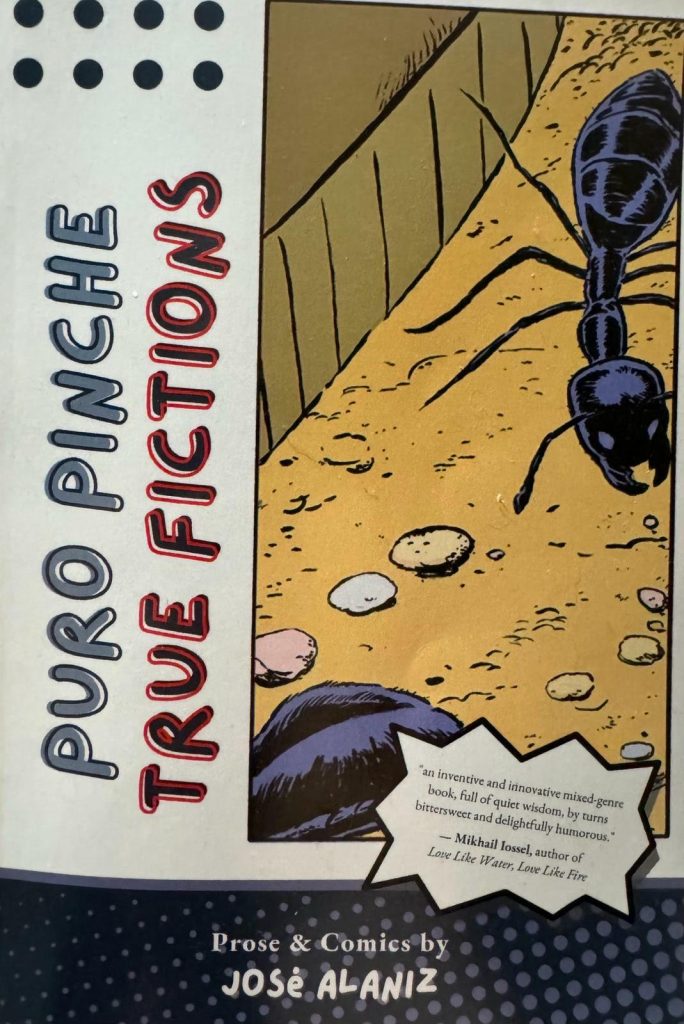 Puro Pinche True Fictions: José Alaniz Shines Light on RGV Culture ...